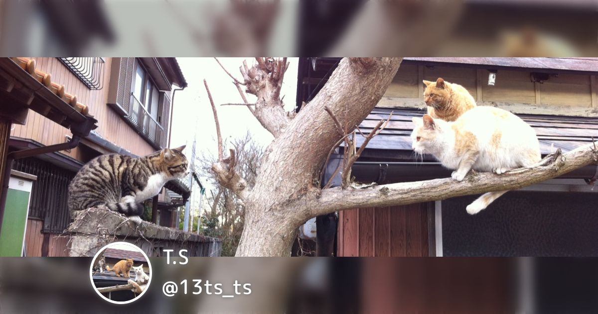 T.S(@13ts_ts)のまとめ - posfie