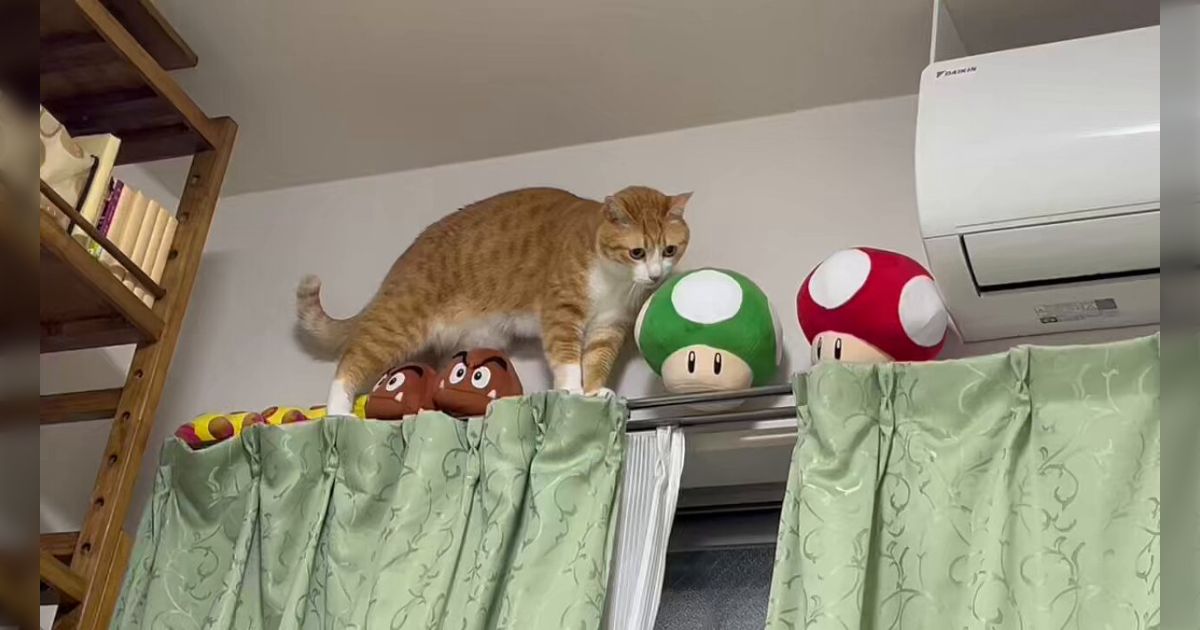 2024/2/9の話題ツイートまとめ - posfie