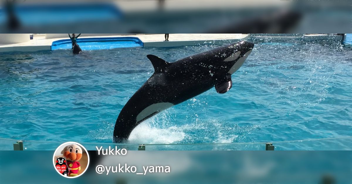 Yukko(@yukko_yama)のまとめ - posfie