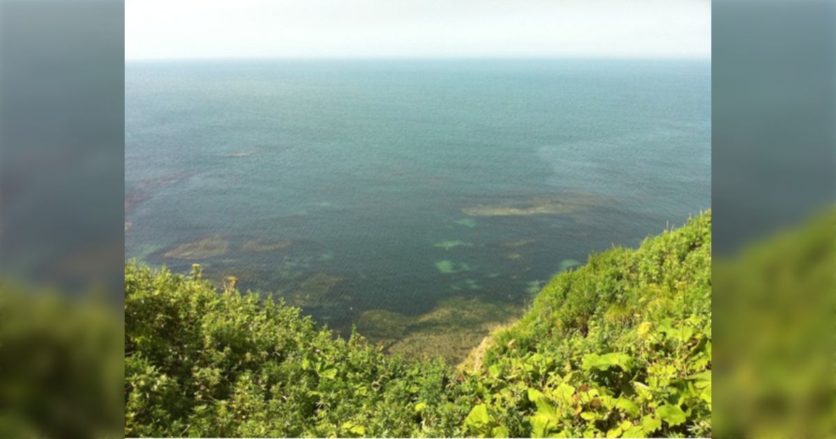 踊湖 #odoriko 2010 - posfie