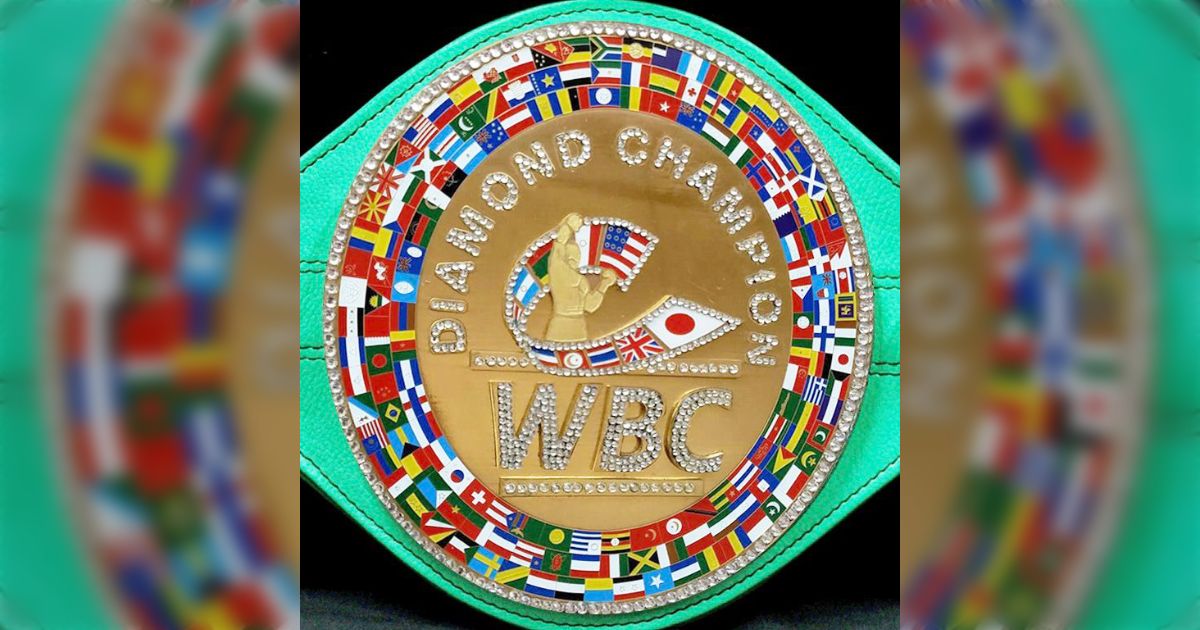 井上尚弥🆚ルイス・ネリの勝者にWBCが通常のベルトに加えてダイヤモンドベルトを進呈するらしい💎🟢 - posfie