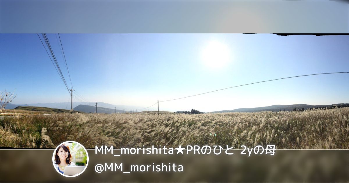 MM_morishita★PRのひと⭐︎2yの母(@MM_morishita)のまとめ - posfie