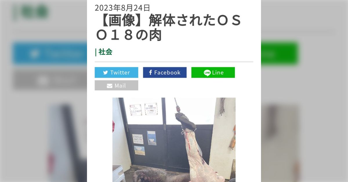 「OSO18」解体した業者が判明→記事の写真が衝撃的 - posfie
