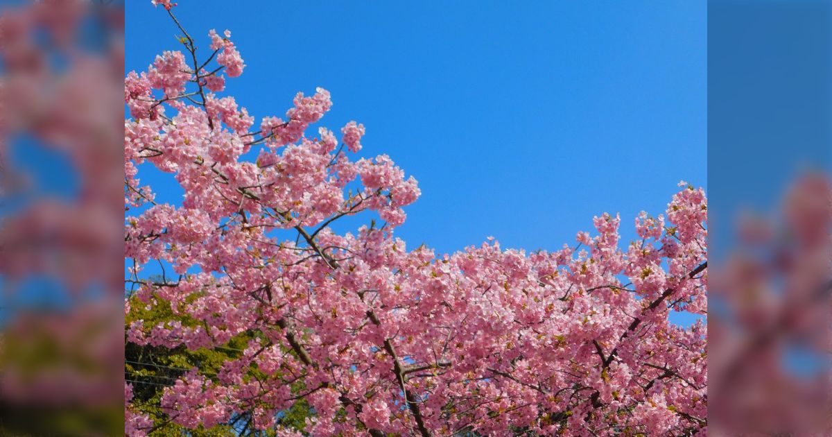 一人ツーリング記・2025年3月20日 - posfie