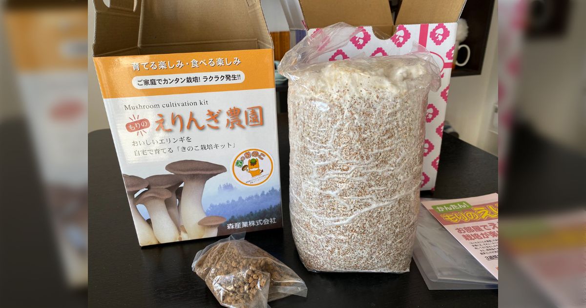 エリンギを育てる - posfie