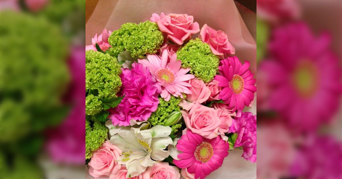 ねこさんのプロポーズ大作戦 @ cosmon LIVE vol.4 2015 - posfie