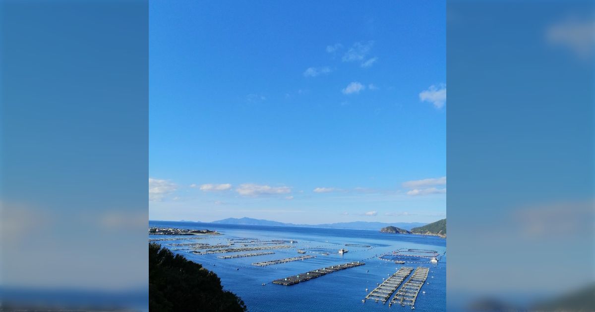 高知旅行 2022年11月 - posfie