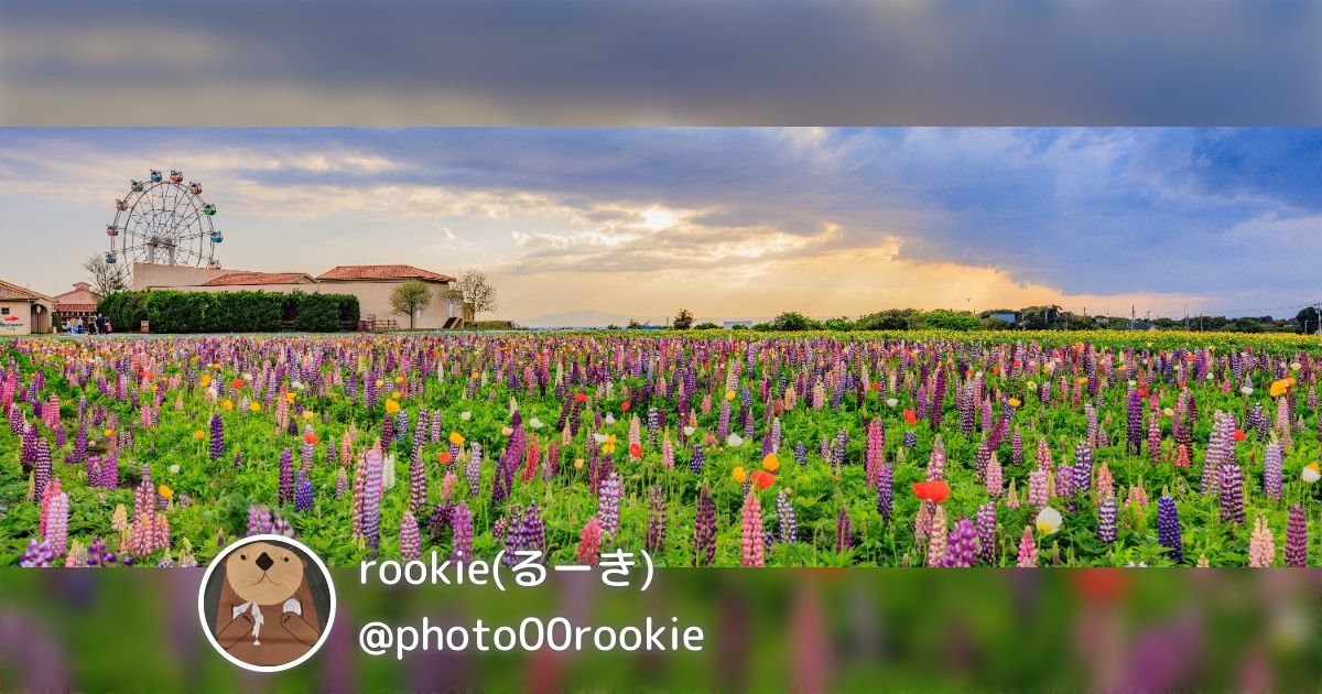 rookie(るーき)(@photo00rookie)のまとめ - posfie