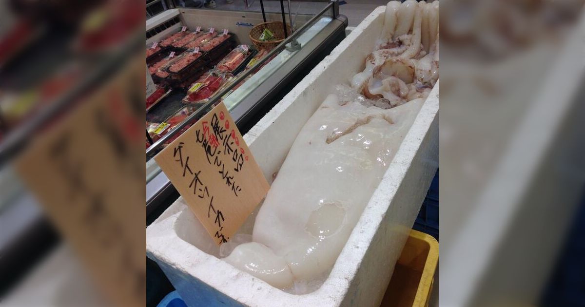 ダイオウイカ、スーパーで展示 - posfie