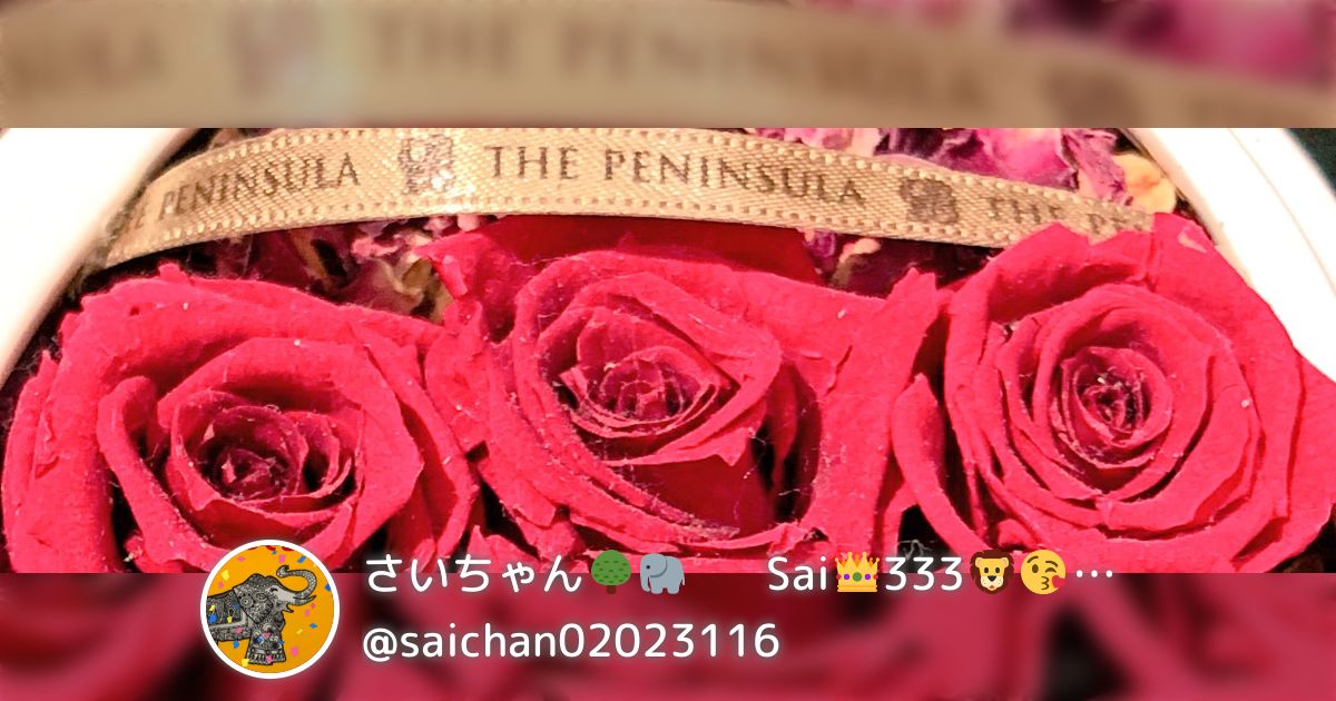 さいちゃん🌳🐘సాయి Sai👑333🦁😘 ️🧸🧸(@saichan02023116)のまとめ - posfie