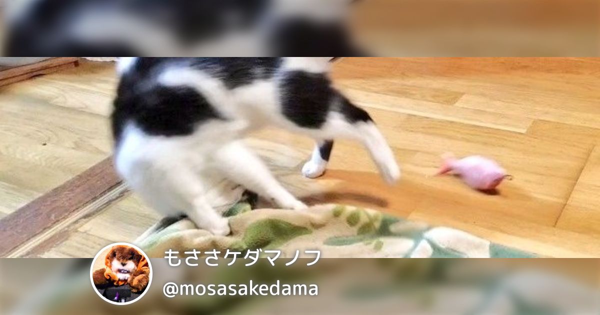 もささケダマノフ(@mosasakedama)のまとめ - posfie