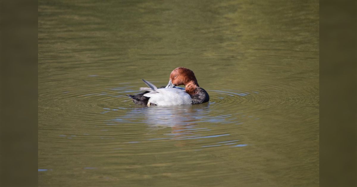 秋さんぽ2014 - posfie