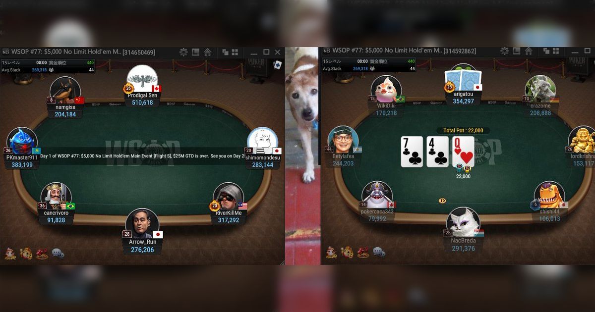 Poker NOW! 2020-08-29 - posfie