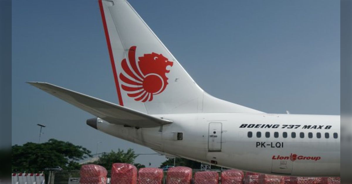 737MAXの件 経過の続き 4 - posfie