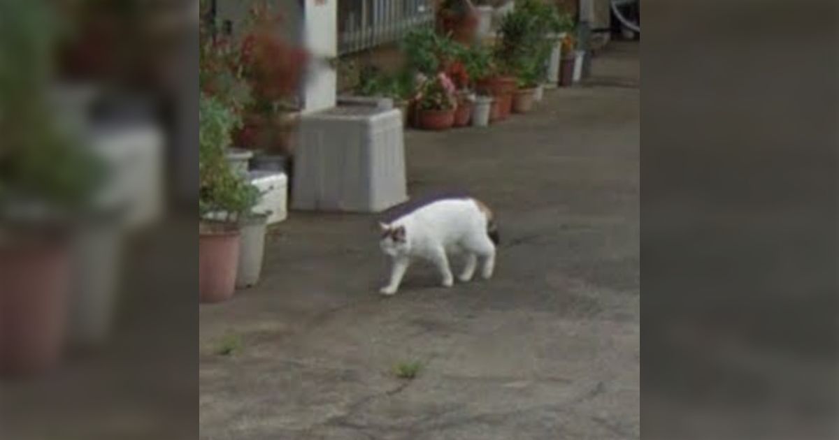 2016年名ツイッター選 - posfie