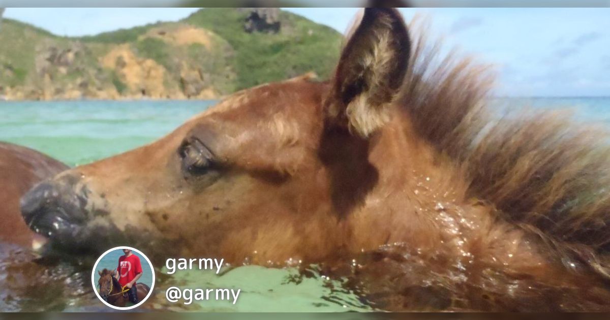 garmy(@garmy)のまとめ - posfie