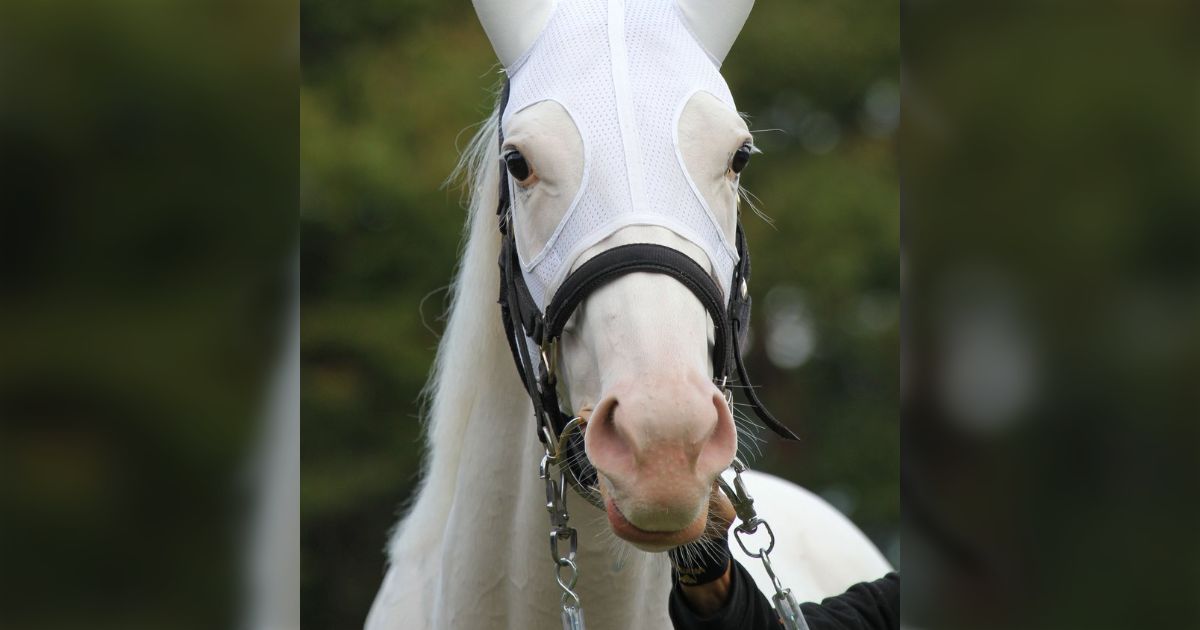 2023/10/6の話題ツイートまとめ - Togetter [トゥギャッター]