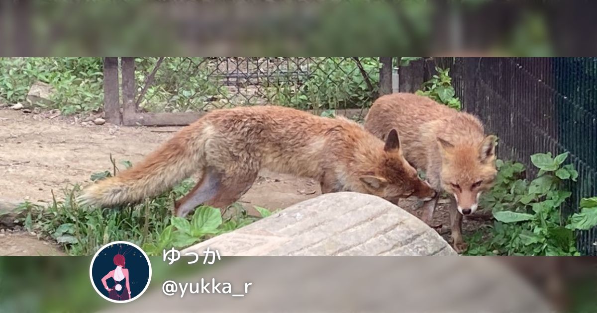 ゆっか(@yukka_r)のまとめ - posfie