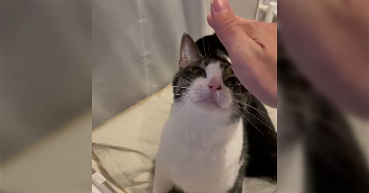 2021/12/2の話題ツイートまとめ - posfie