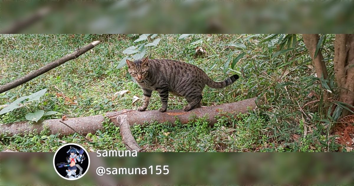 samuna(@samuna155)のまとめ - posfie