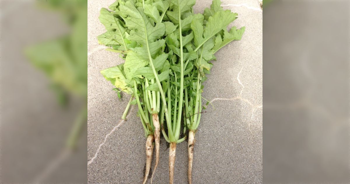 思考についてetc - posfie