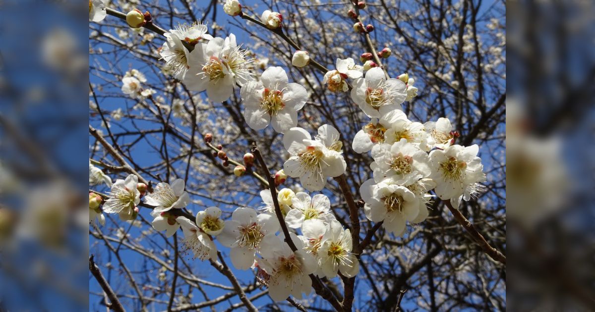 独り旅記録 2019年4月～ - posfie