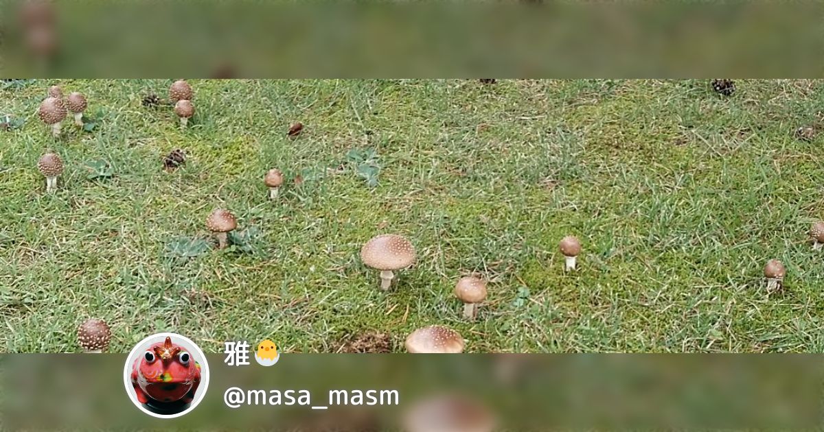 雅🐣(@masa_masm)のまとめ - posfie