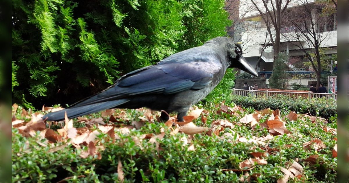 2016年12月13日「瞬間写真2016」さあ、12時30分に撮って！ - posfie