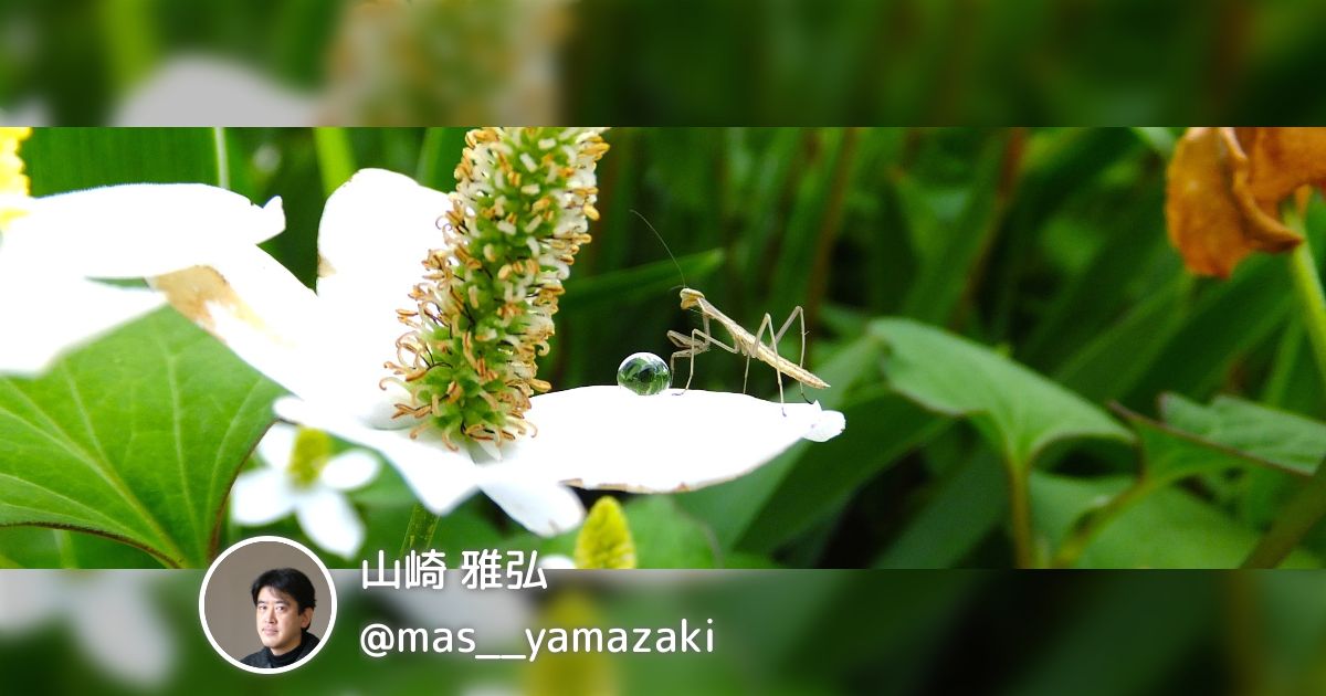 山崎 雅弘(@mas__yamazaki)のまとめ - posfie