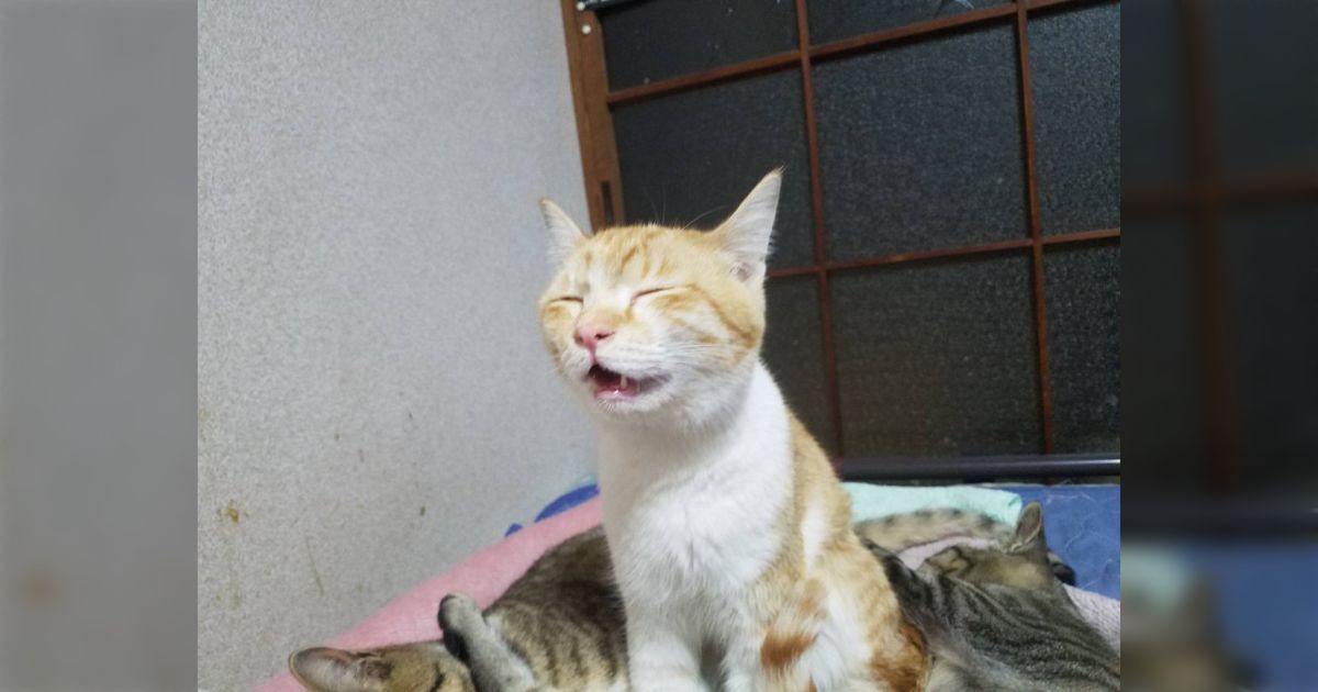 2020/5/29の話題ツイートまとめ - posfie