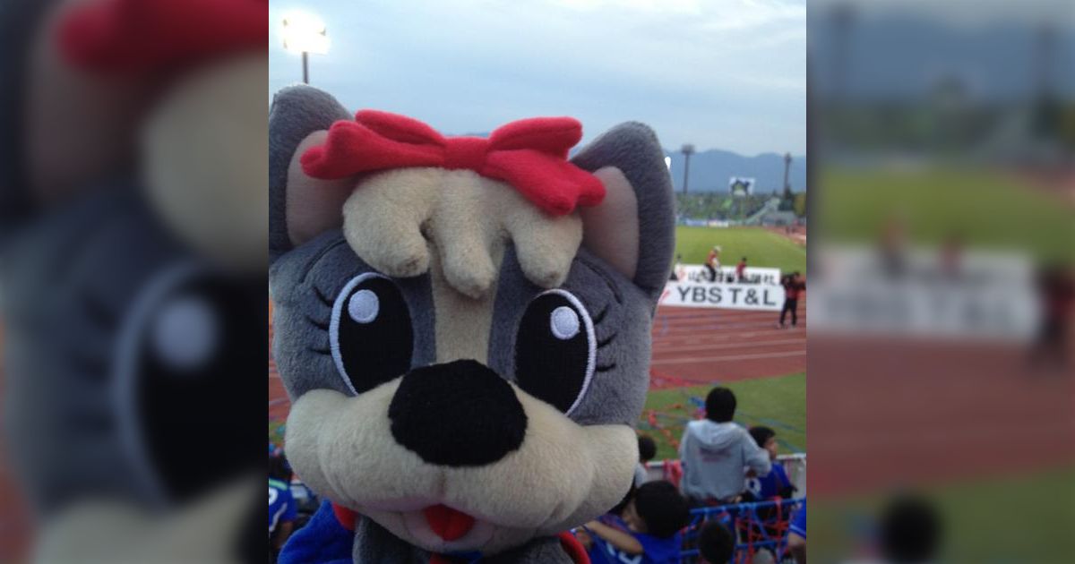 ヴァンフォーレ甲府、1年でJ1復帰を決める - posfie