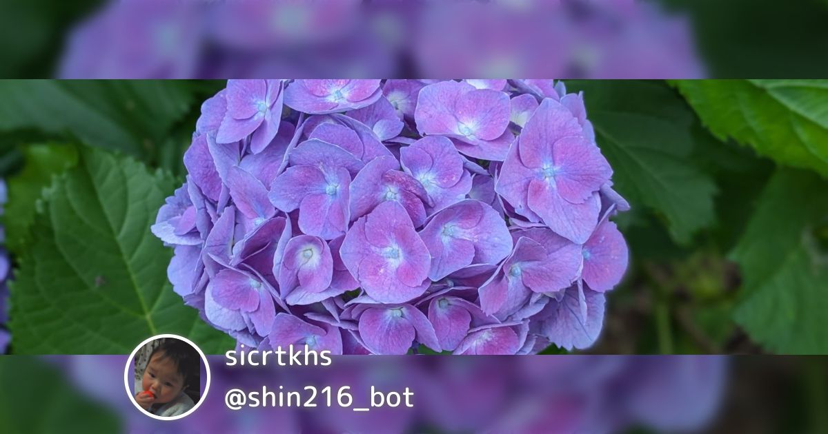 sicrtkhs(@shin216_bot)のまとめ - posfie