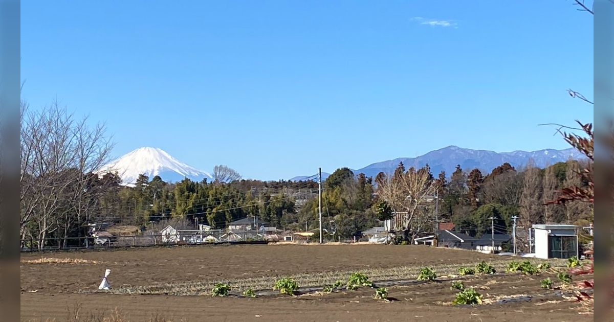 2025-02 富士山と大山 - posfie
