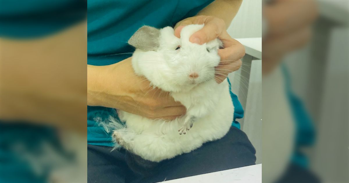 2023/10/28の話題ツイートまとめ - posfie