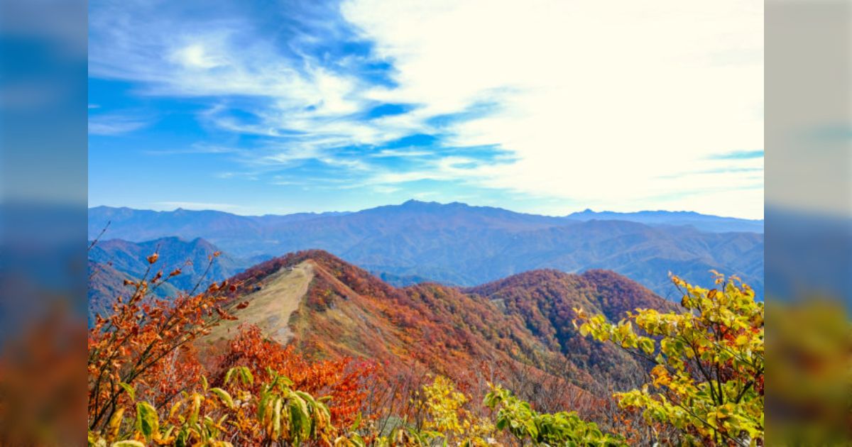 健歩会とシェア友20211023 - posfie