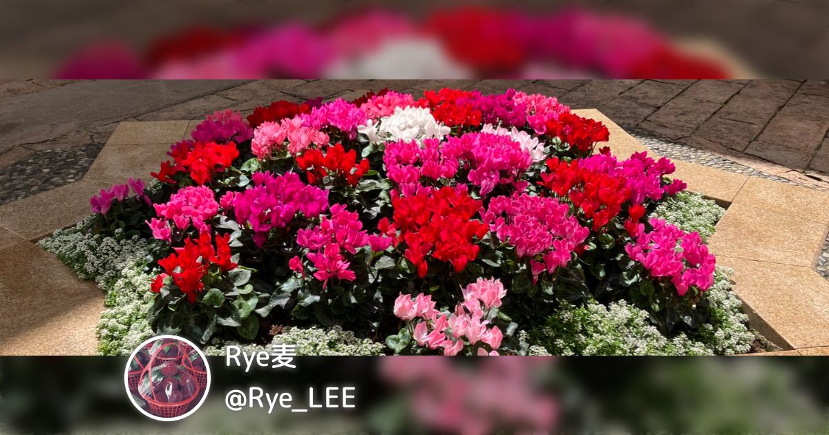 Rye麦(@Rye_LEE)のまとめ - posfie