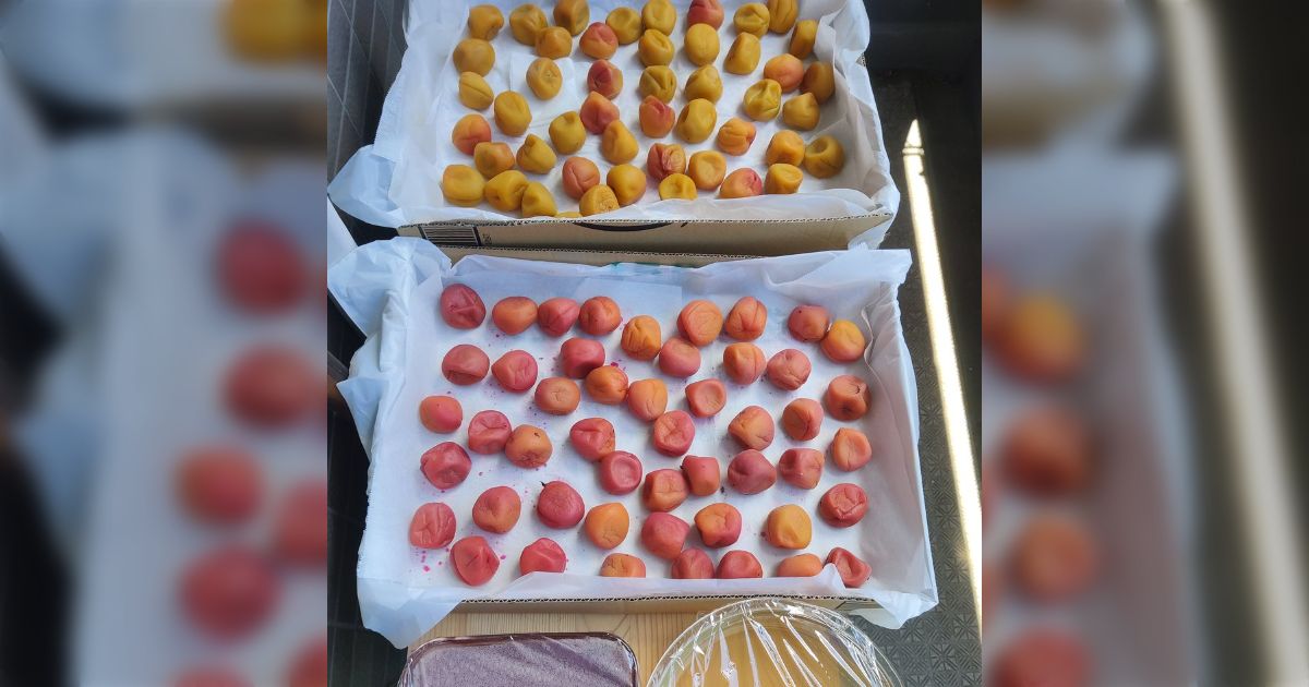 梅干し作り2022 - posfie