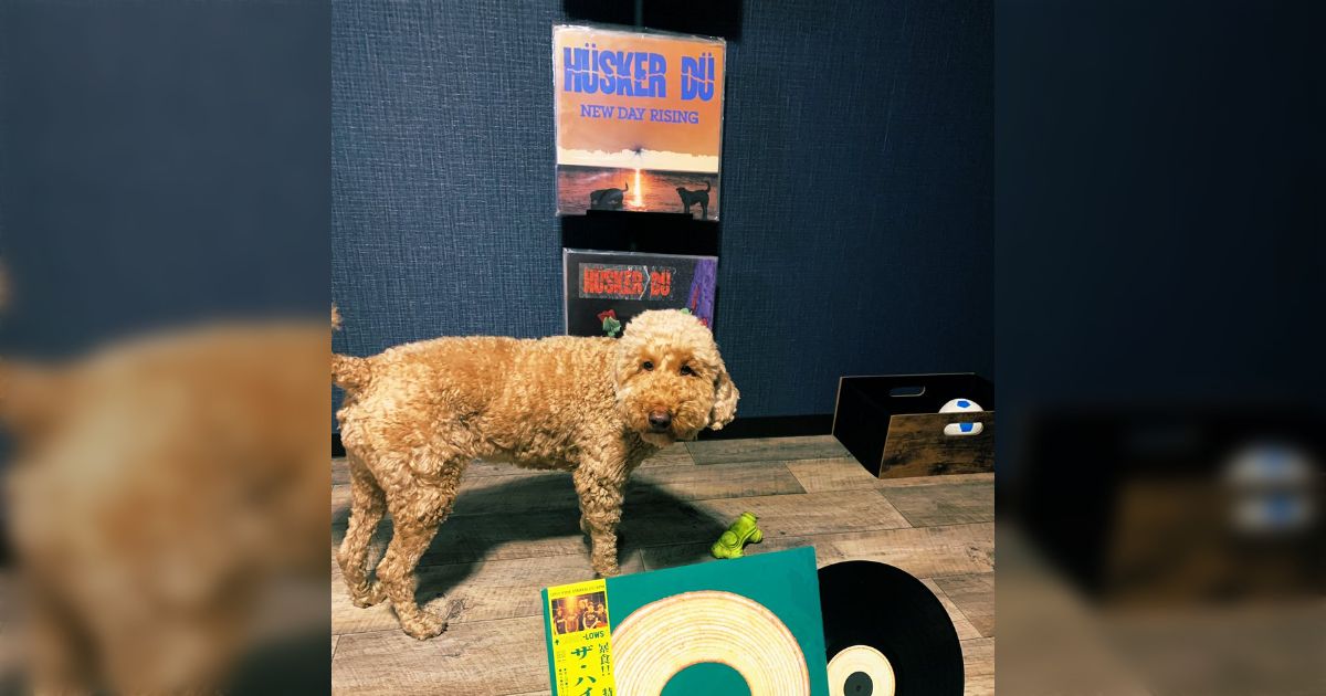 #ザ・ハイロウズベストソング100 - posfie