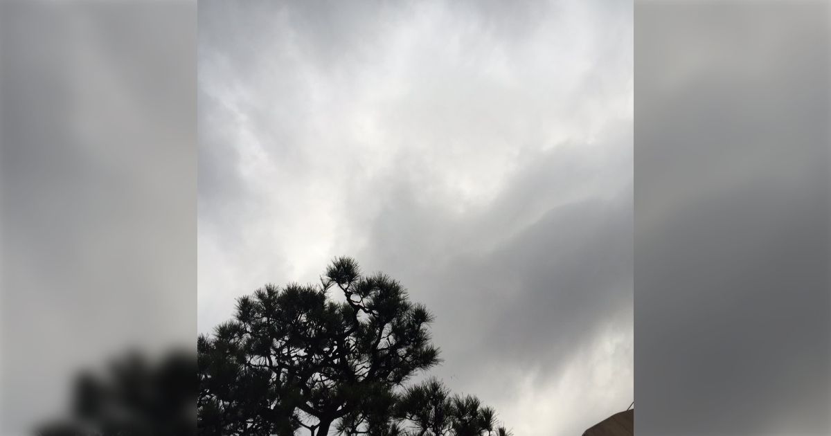 奈良クラブ対鹿児島ユナイテッドFC - #JFL 2nd-S 第14節 2015.11.8 #コミュサカ #J楽 #naraclub - posfie