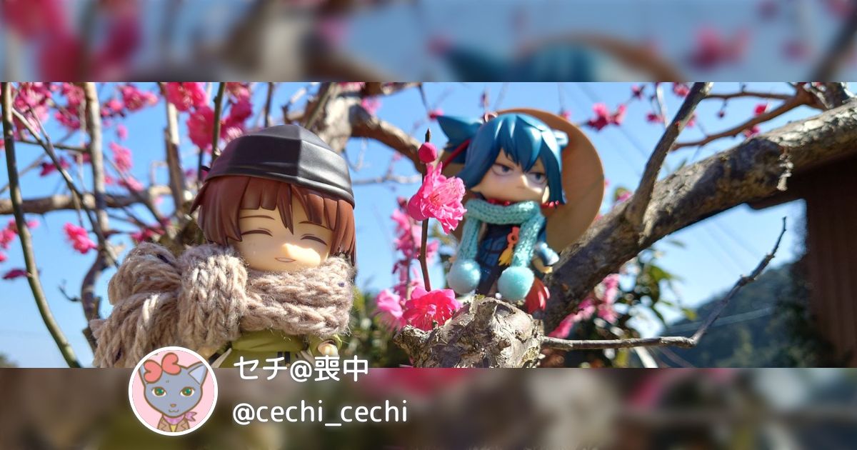 セチ@喪中(@cechi_cechi)のまとめ - posfie