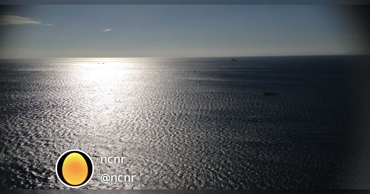 ncnr(@ncnr)のまとめ - posfie