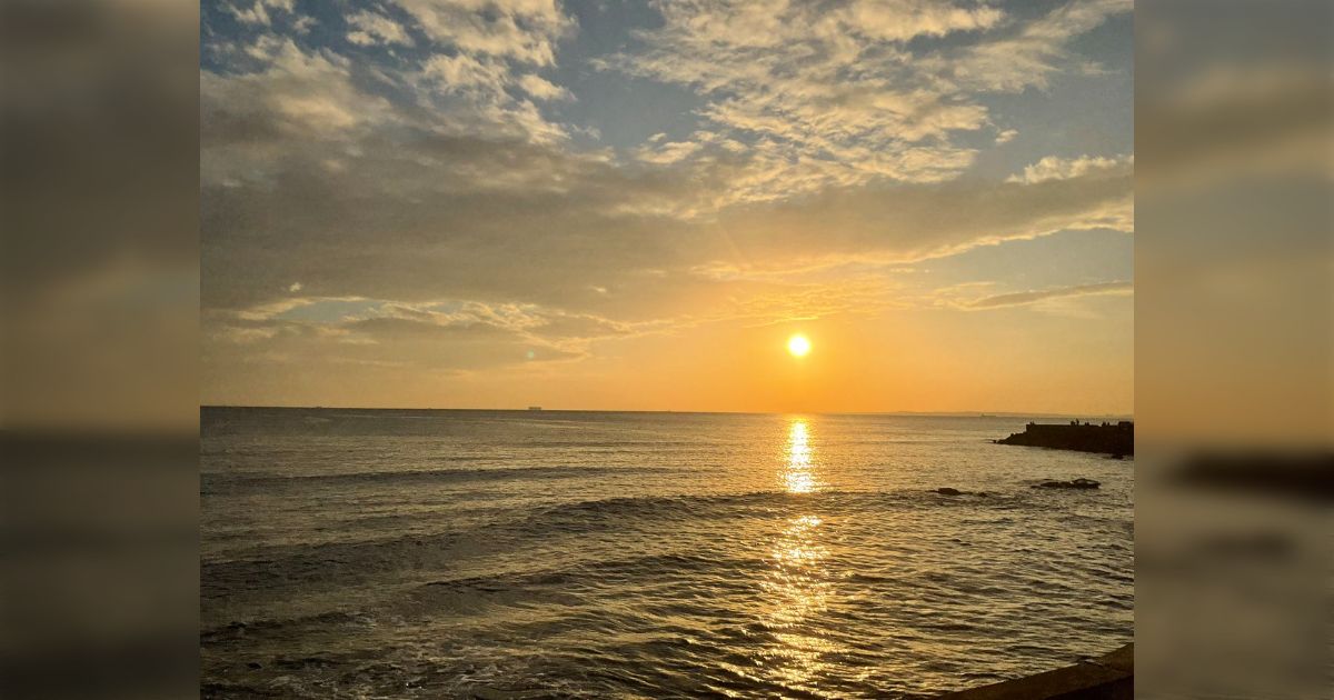 2024年10月 - posfie