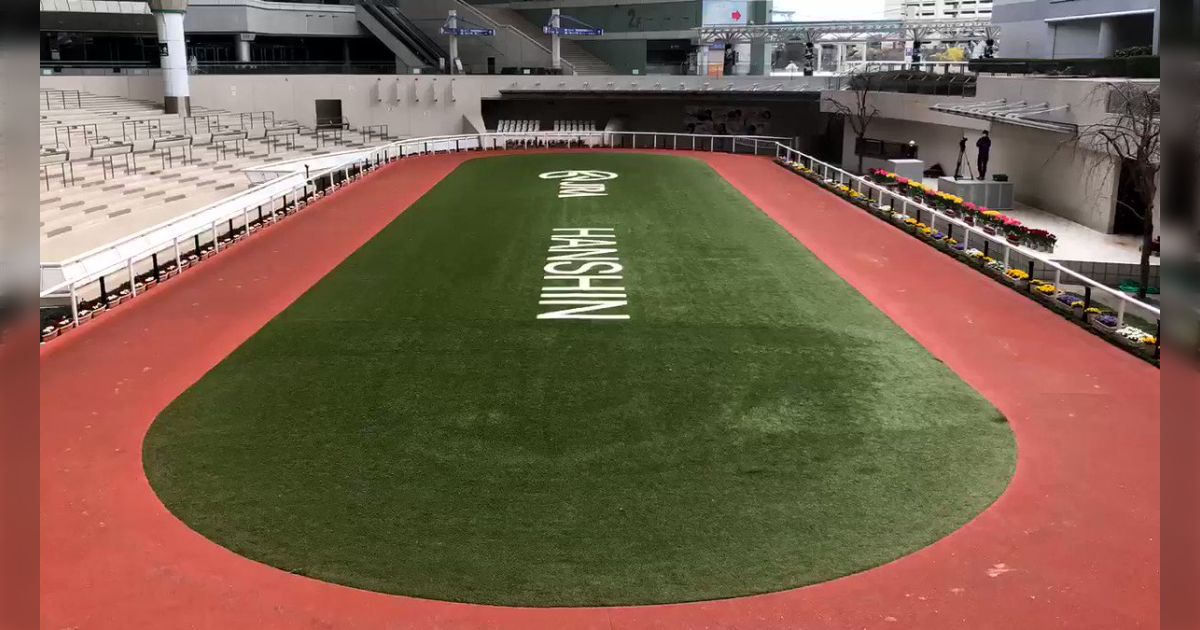 歓声が消えた週末、無観客競馬の競馬場に響く様々な音たち #なかなか見られない阪神競馬場 #jra - posfie