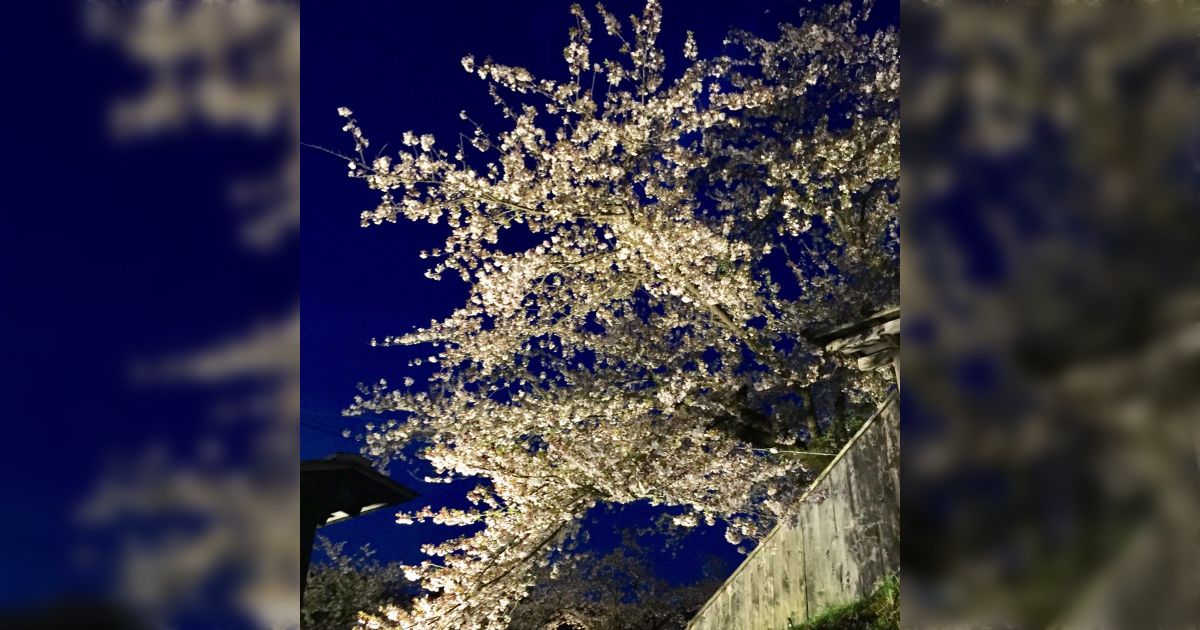 いうんのGW旅行記(2016年5月) - posfie