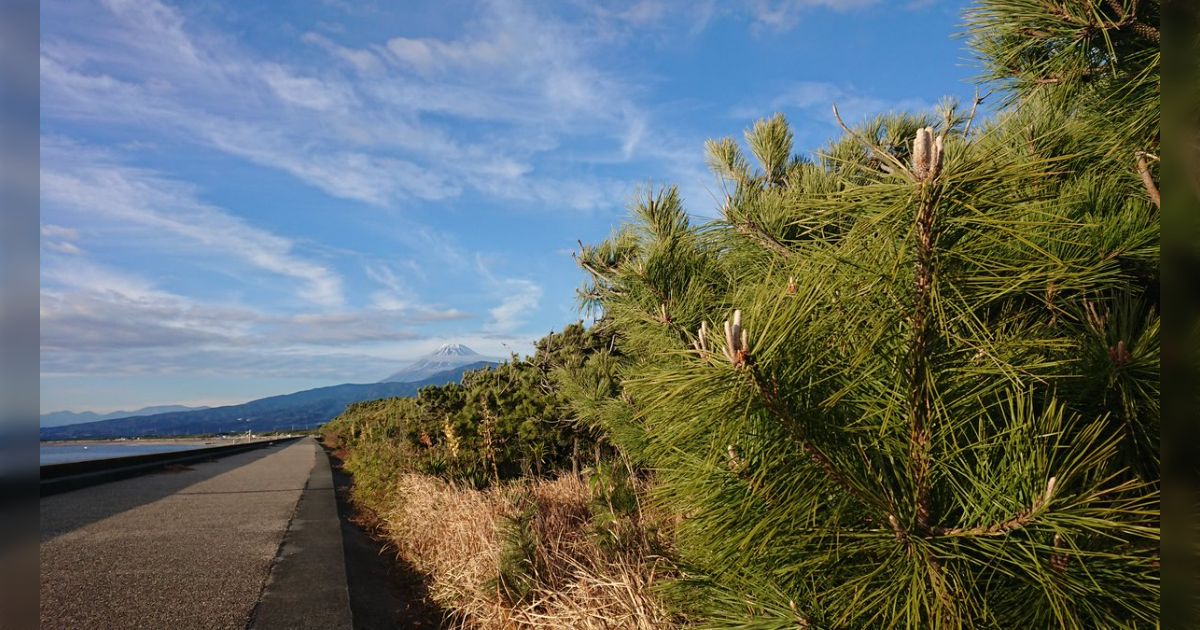 旅徒然・沼津 - posfie