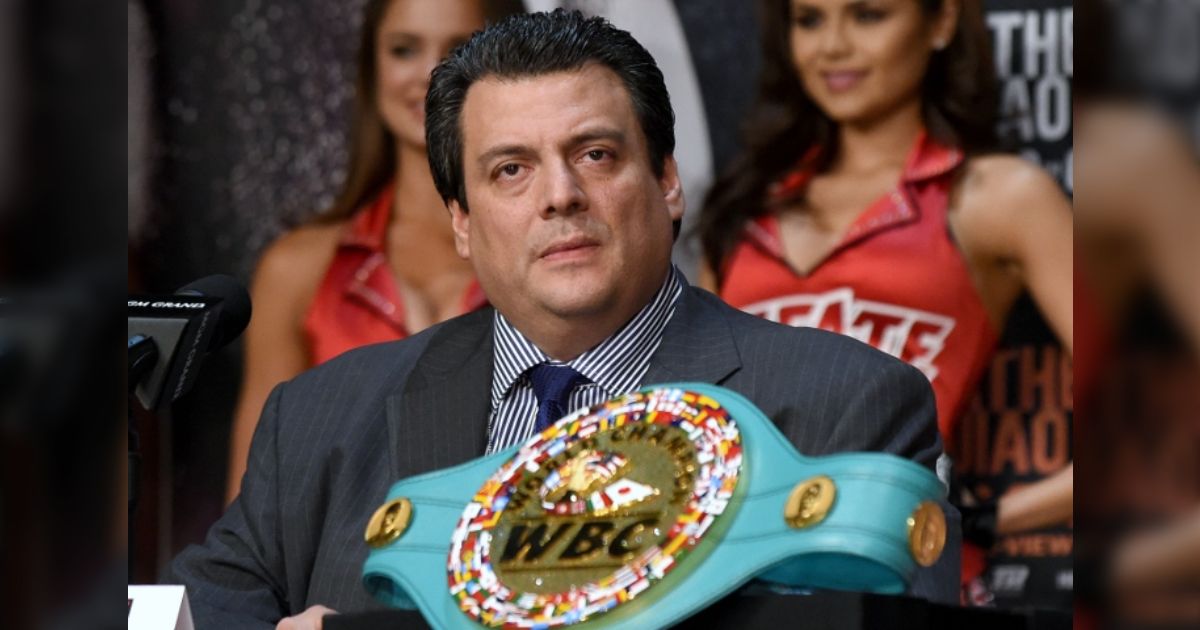 WBCが野犬から妹を助けた少年の名前に因むブリッジャー級をヘビー級とクルーザー級の間に新設するという🥊 - posfie