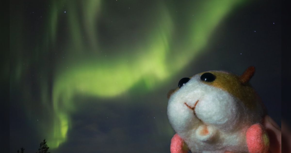 2023年9月29日～10月7日 BKM 三成捕縛→命日 モルカー - posfie