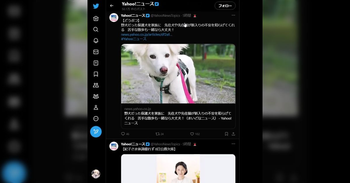 810の鳴き声コレクション2024・vol.02 - posfie