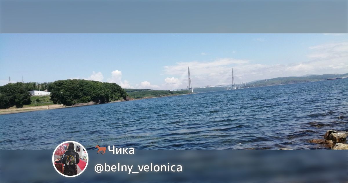 🐎Чика(@belny_velonica)のまとめ - posfie