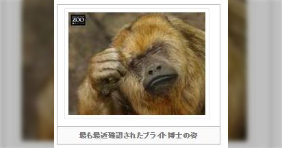 初めての人のためのThe SCP Foundation - posfie